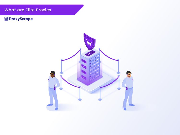 What are Elite Proxies - ProxyScrape